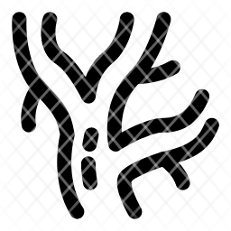 artery icon, circulation icon, blood vessel icon, veins icon, blood ...