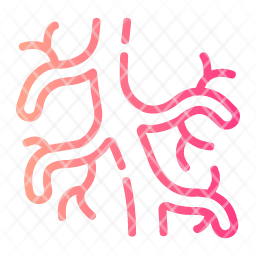 artery icon, veins icon, blood icon, vessel icon, body icon, part icon ...