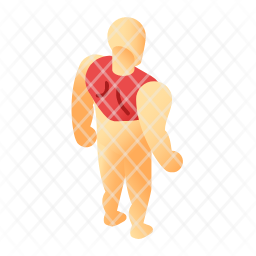 back icon, muscle icon, anatomy icon, bodybuilder icon, training icon ...