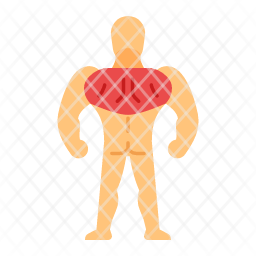 back icon, muscle icon, anatomy icon, bodybuilder icon, training icon ...