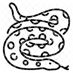 boa icon, wildlife icon, amazon icon, river icon, rainforest icon ...