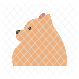 breed icon, canine icon, dog icon, pet icon, pomeranian icon, purebred icon