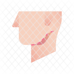 chin icon, enhancement icon, facial icon, jaw icon, jaw contouring icon ...