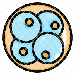 embryo icon, embryology icon, science icon, biology icon, cells icon ...
