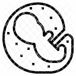 embryology icon, embryo icon, fetus icon, development icon, live icon ...