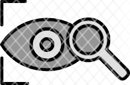 eye icon, seeing icon, sight icon, view icon