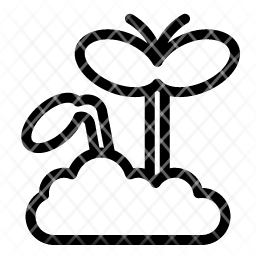 growth icon, increase icon, maturity icon, plant icon