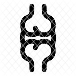 joint icon, knee icon, pain icon, broken bone icon, articulation icon ...