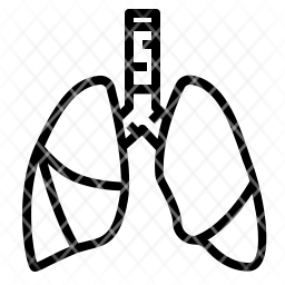 lung icon, asthma icon, respiration icon, organ icon, human icon, body icon