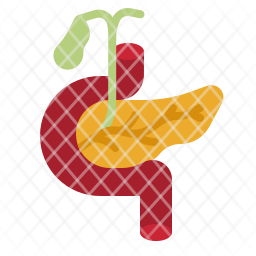 pancreas icon, body icon, parts icon, healthcare icon, medical icon