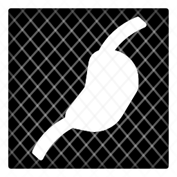 stomach icon, organ icon, body icon, belly icon, man icon, human icon ...